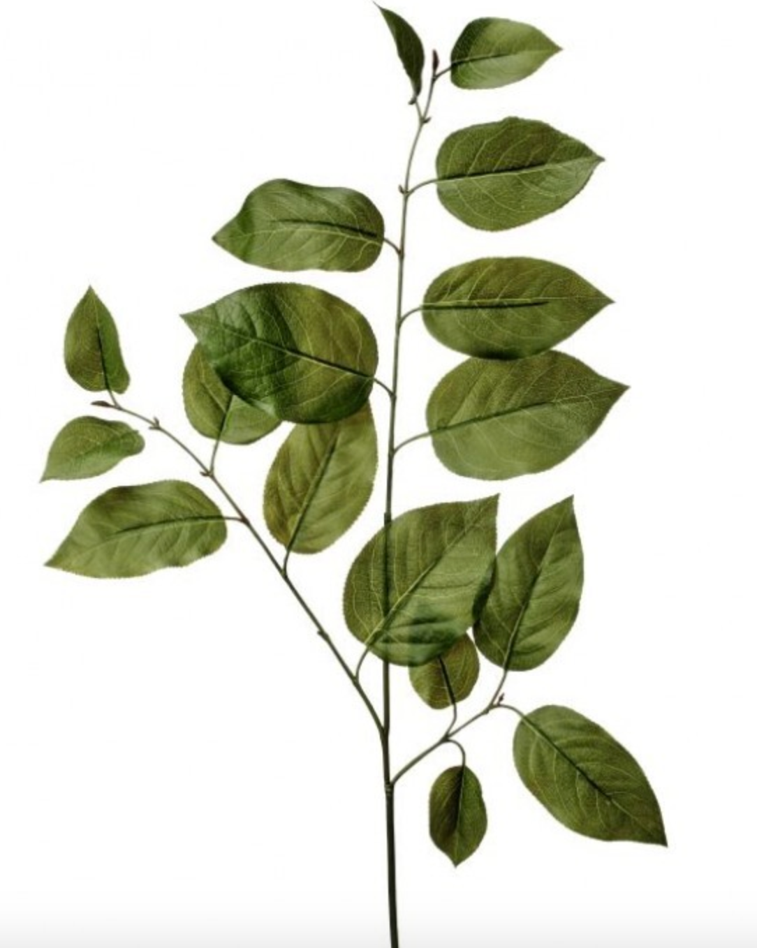 Triple Salal Leaf Spray – The Feathered Farmhouse