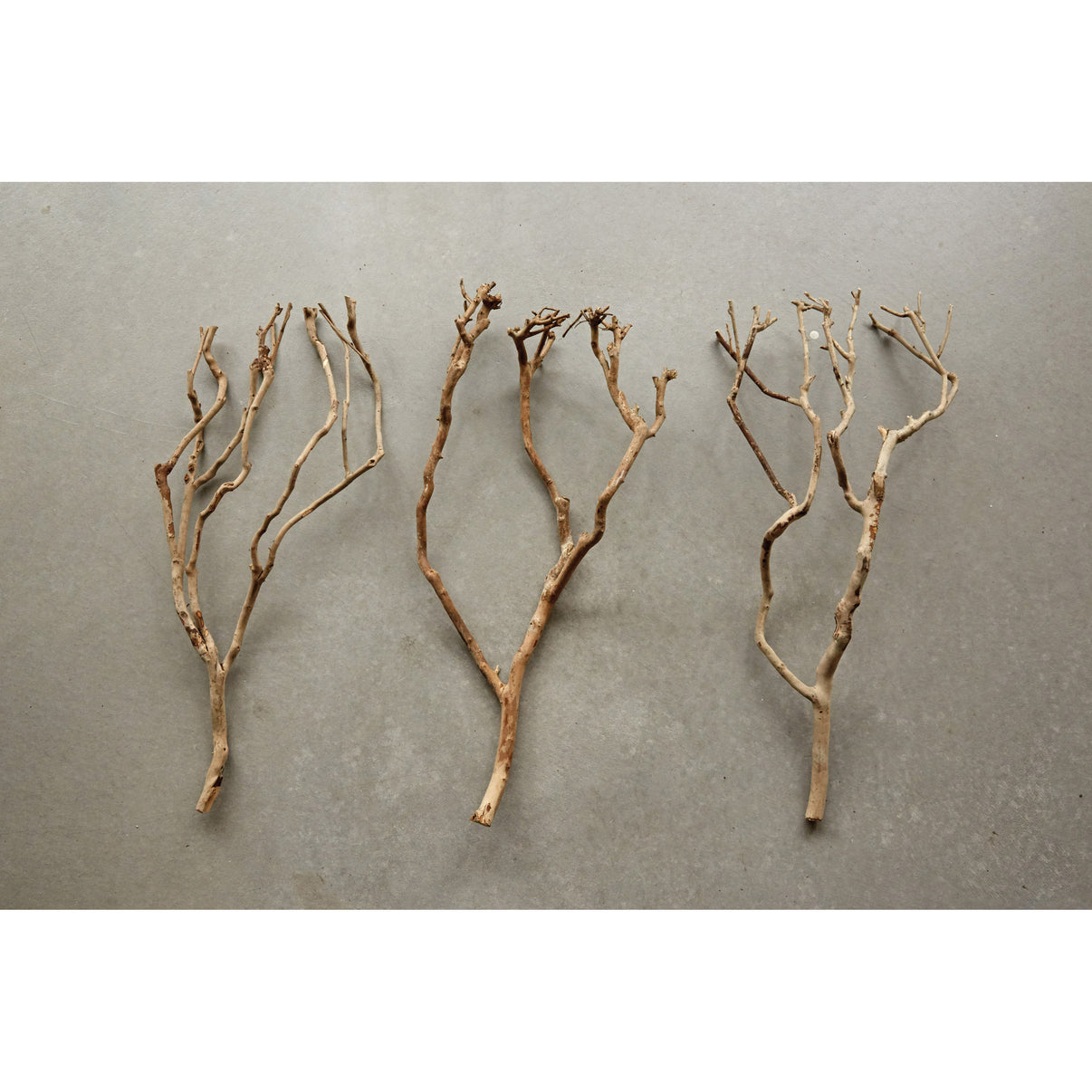 Natural Tea Tree Branch – The Feathered Farmhouse
